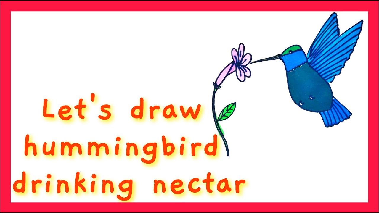 Let's Draw Hummingbird Drinking Nectar | Drawing with My Kids | Quiet ...
