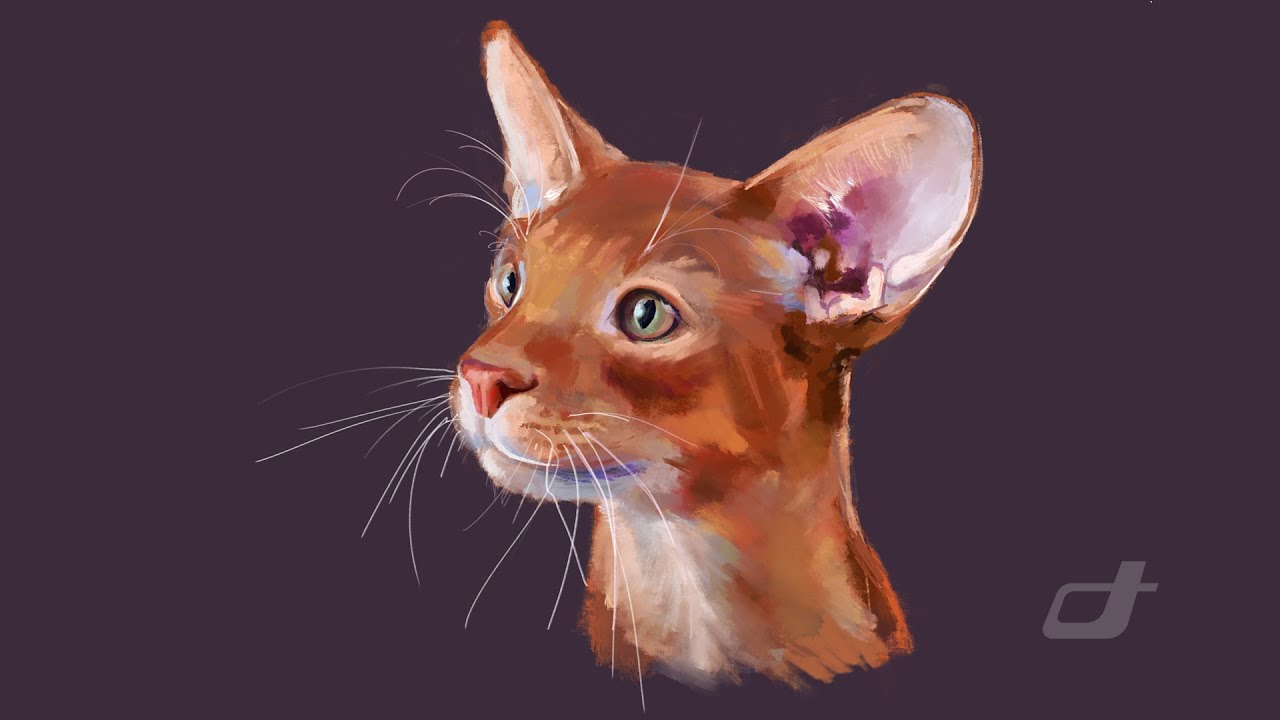 Digital Art Showcase: Creating a #cat #drawing on iPad with #procreate ...