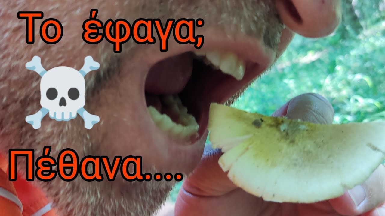 Μια ανάσα από τον Θάνατο. Amanita Phalloides. - YouTube