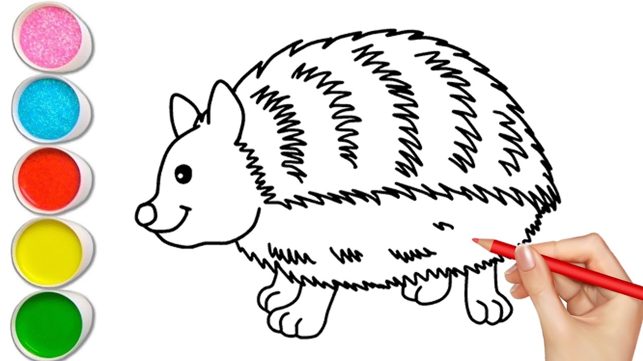 how to draw Hedgehog Animal for kids & toddlers, easy kids drawing ...