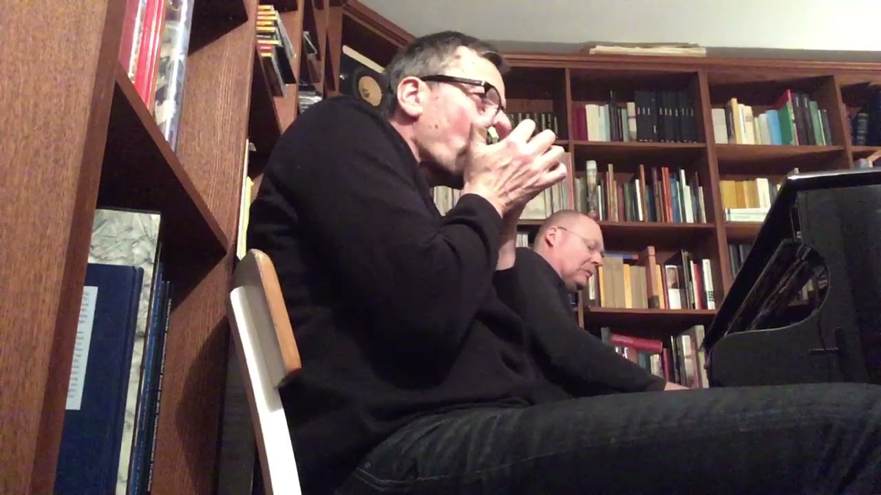 Alcohol Blues (Sonny Boy I):Stefan Koss +Peter Samek - YouTube