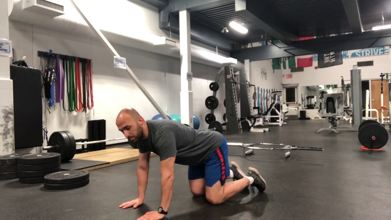 Advanced Bird Dogs - YouTube