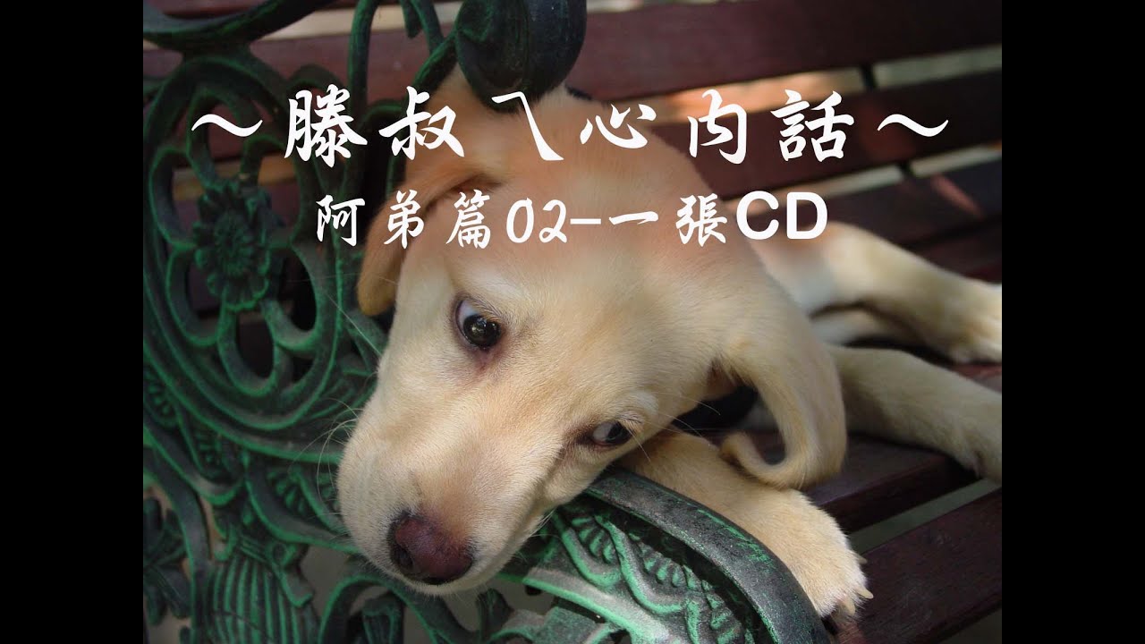 狗狗～阿弟篇02－一張CD~Music：River Flows in You - Cello & Piano Orchestral ...