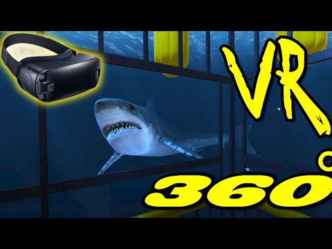 360 Video | Shark Attack - Underwater Deep Sea VR Experience_Great ...