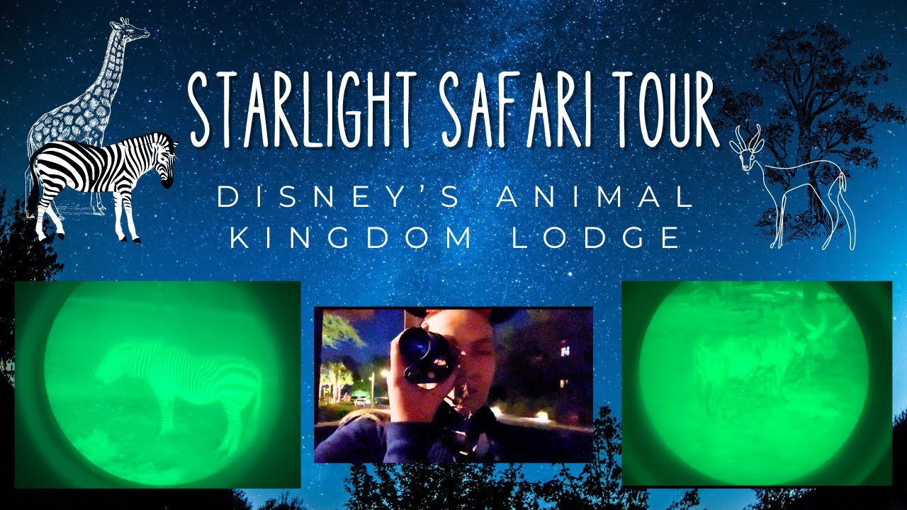 Going on the Starlight Safari Tour at Disney's Animal Kingdom Lodge ...