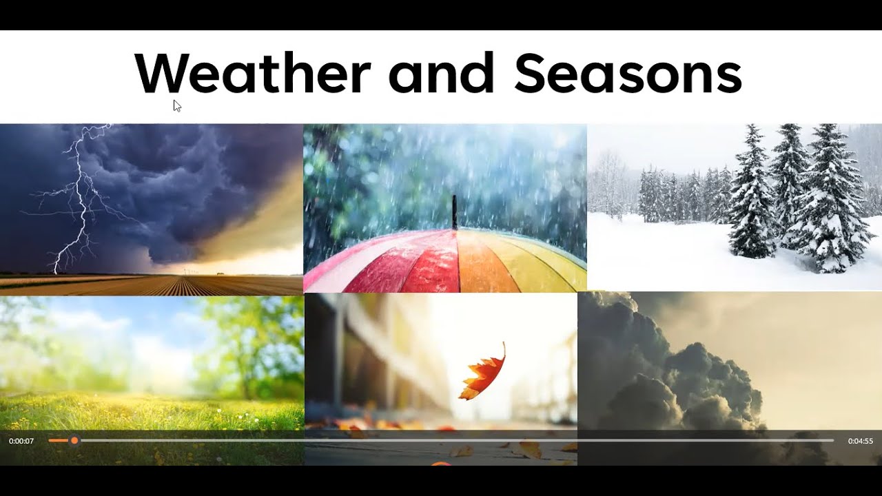 Simple Present of Be: Weather, Seasons, Months, Adjectives, Vocabulary ...