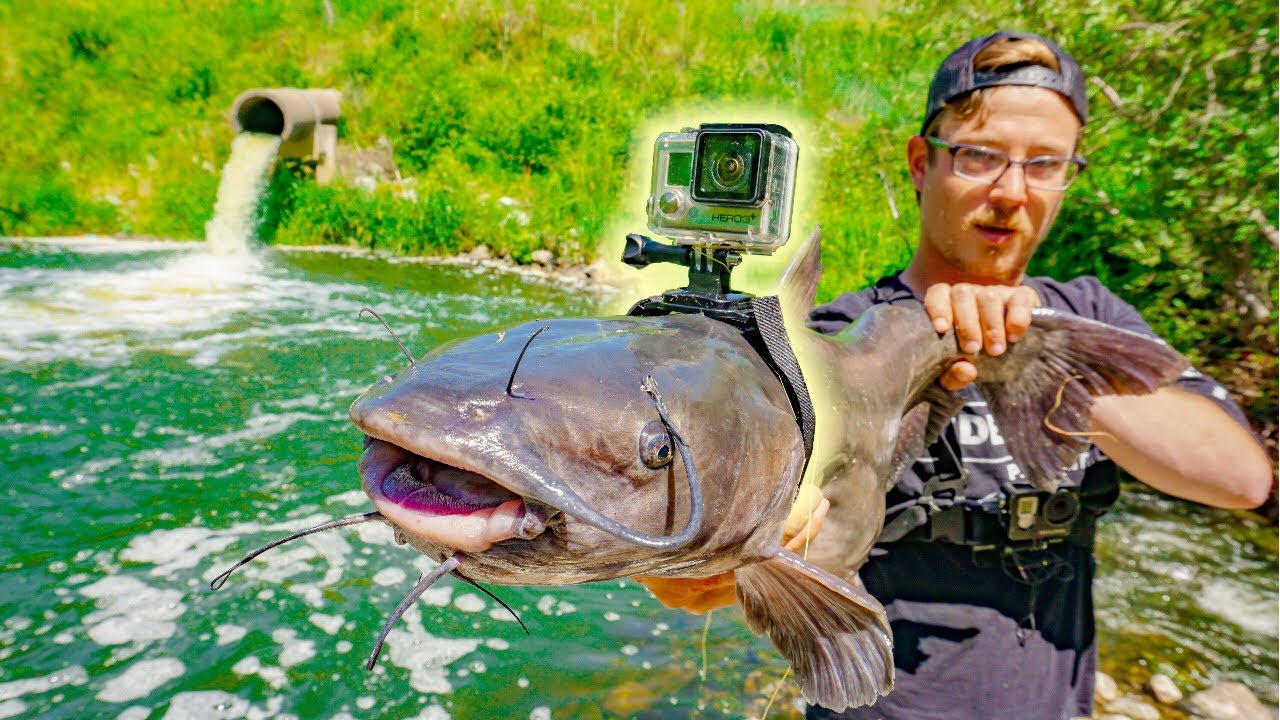 I Strapped A GoPro To a Catfish!!! (Underwater Spillway Footage) - YouTube