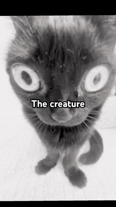 The creature feature.. (the creature lore) - YouTube