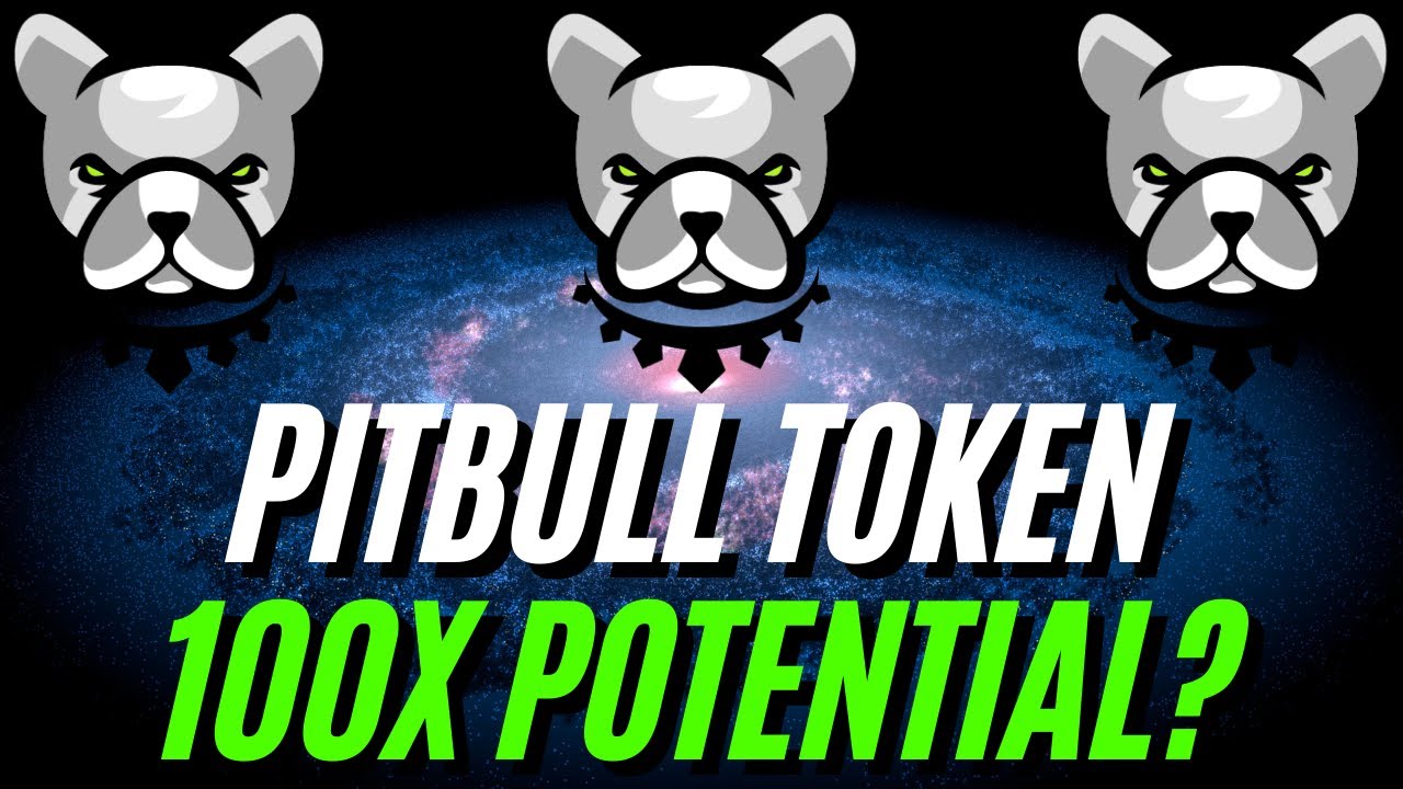 PITBULL TOKEN HAS 100X POTENTIAL & HERES WHY! - YouTube