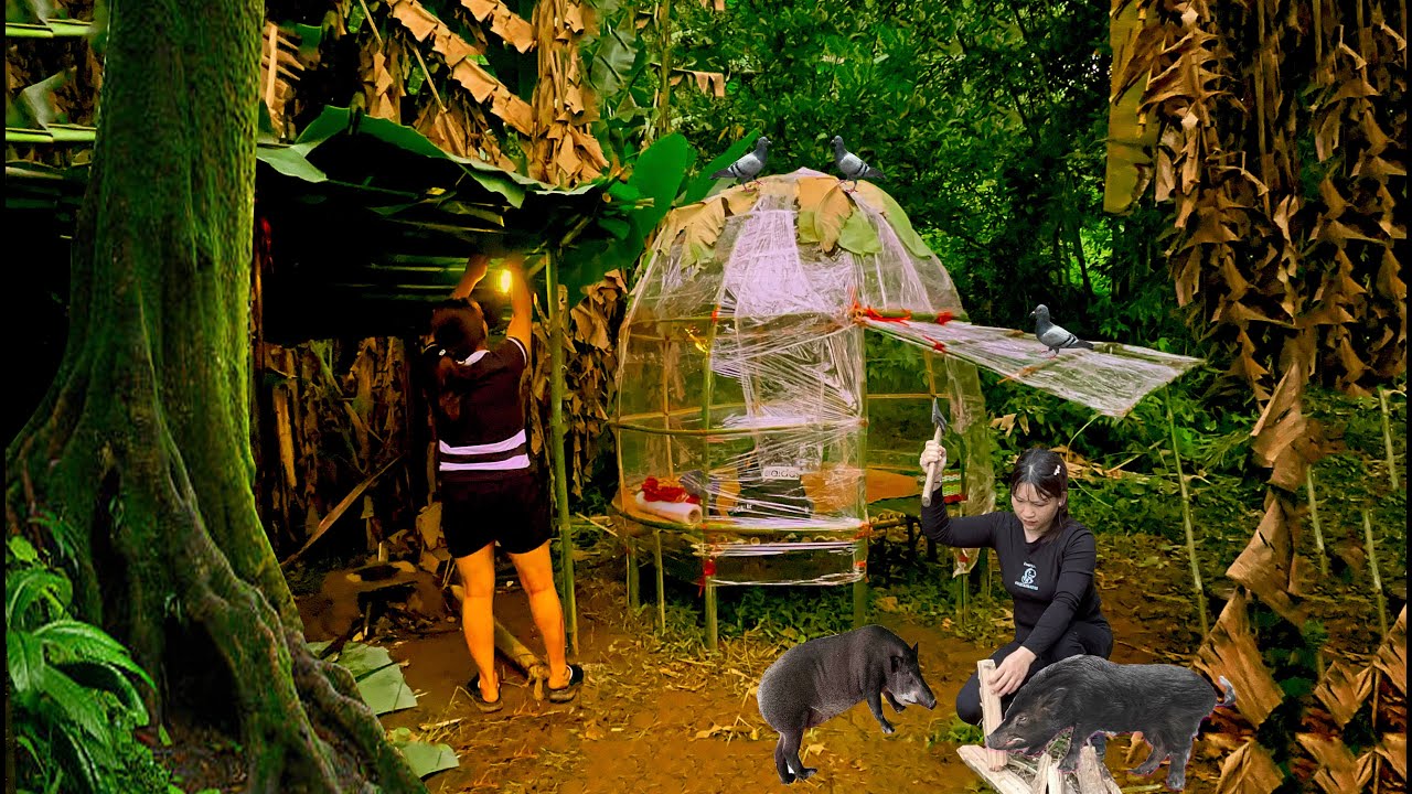 Time Lapse Full Video Primitive Shelter in the Rain – Bamboo & Plastic ...