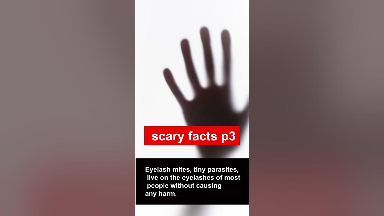 Scary Facts About The Human Body Part 3 YouTube scary-facts-about-the-human-body-part-3-youtube