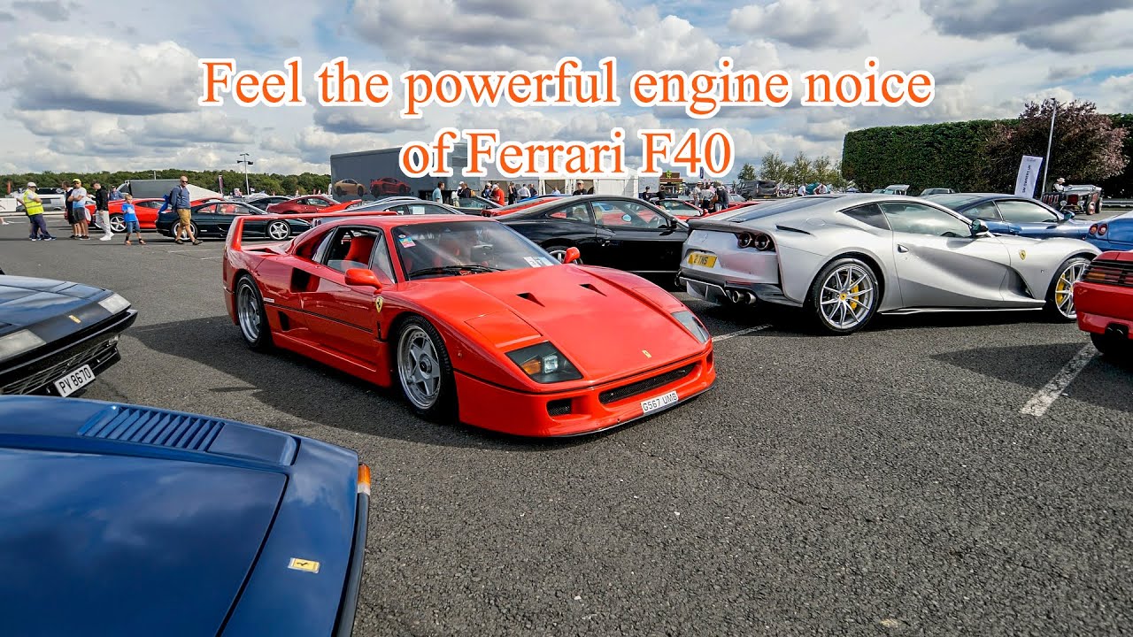 Ferrari F40 engine start in a car park full of different models of ...