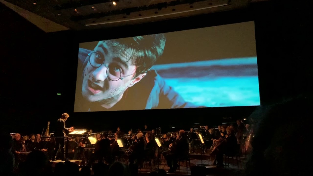 Harry Potter and the Order of the Phoenix in concert - Dumbledore vs ...