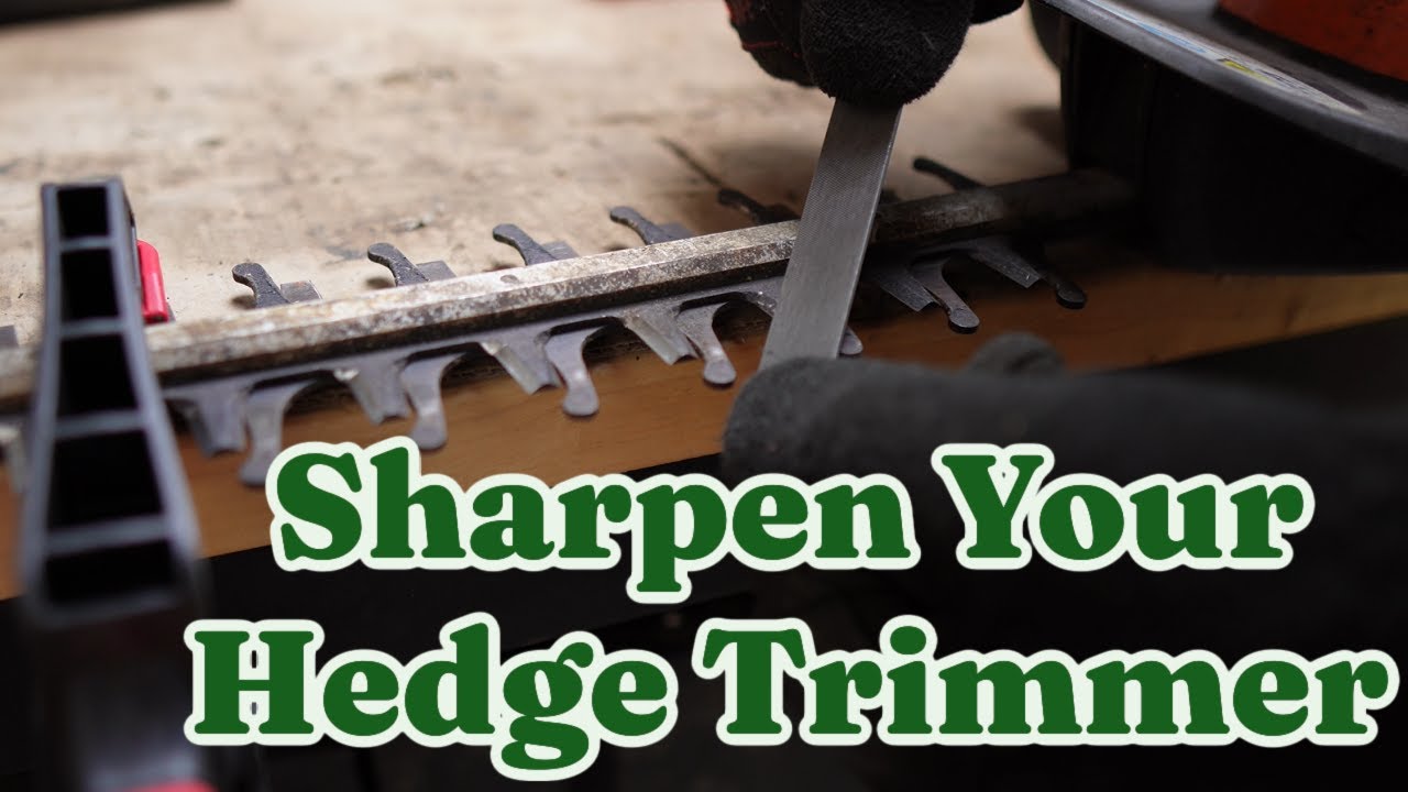 How To Sharpen Your Hedge Trimmer With a File - YouTube