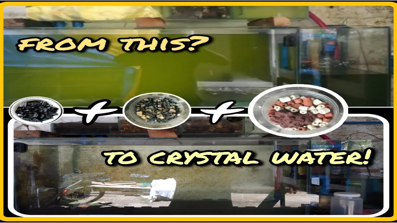 DIY Overhead Filter / Glass 4 Chamber Filter Update - YouTube