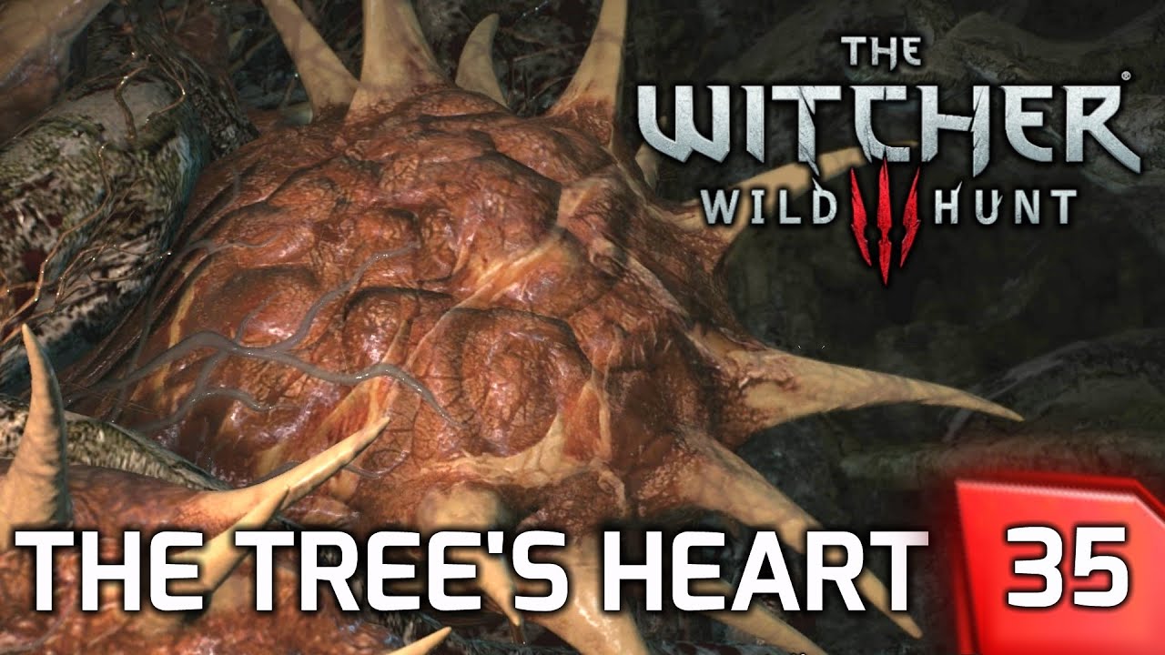 The Witcher 3: Destroying the Druid Spirit in the Tree's Heart - Story ...