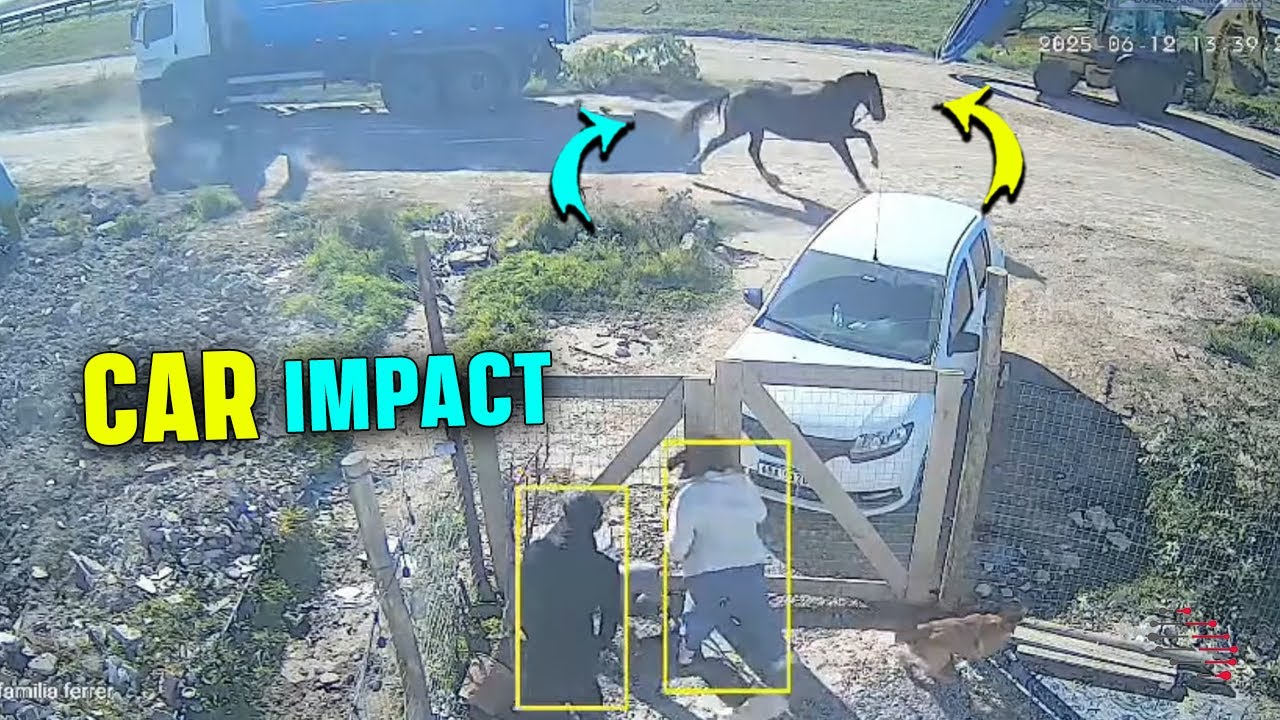 Out-of-Control Horse Drags Log That Slams Into Car - YouTube