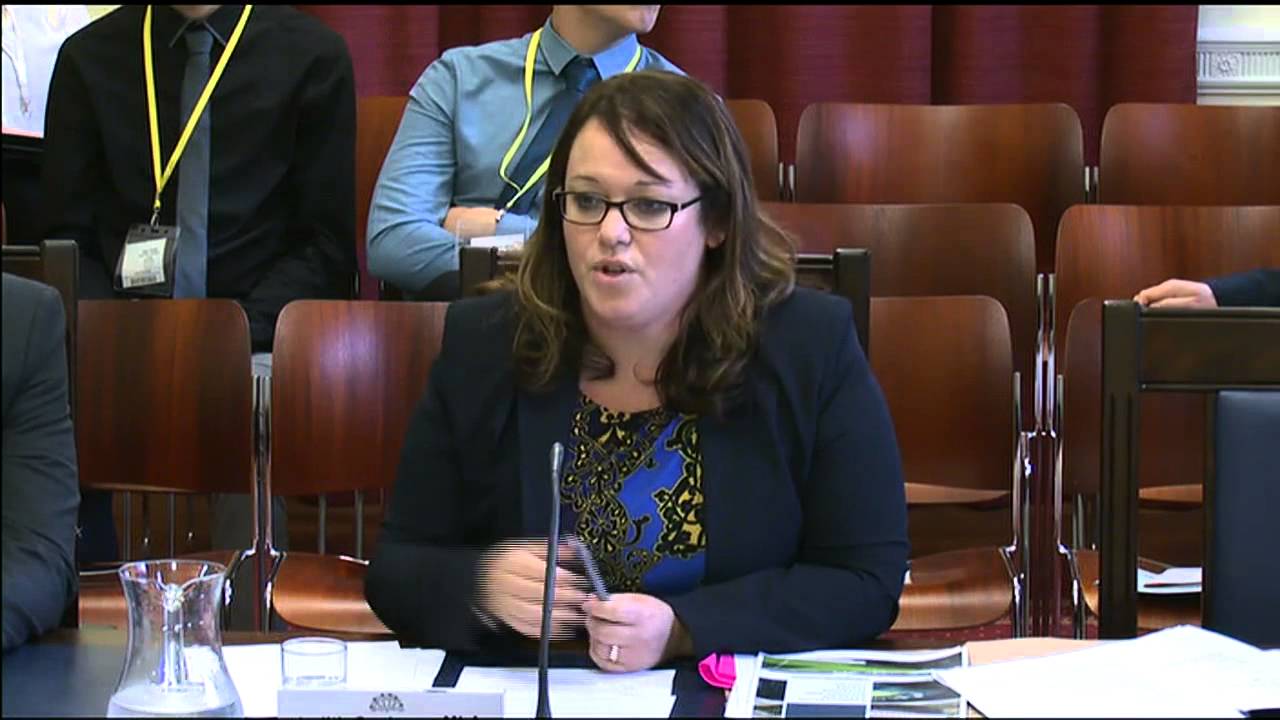 Judith Cochrane MLA briefs Social Development Committee on Stadia ...