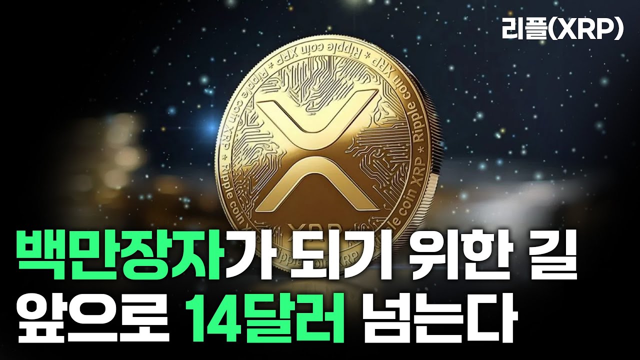 이프로 리플 백만장자 포트폴리오 나왔다 14달러가 목표가 2451 상승 놓치지 마세요 리플코인 리플전망 리플