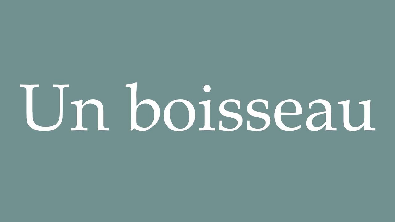 How to Pronounce ''Un boisseau'' (A bushel) Correctly in French - YouTube