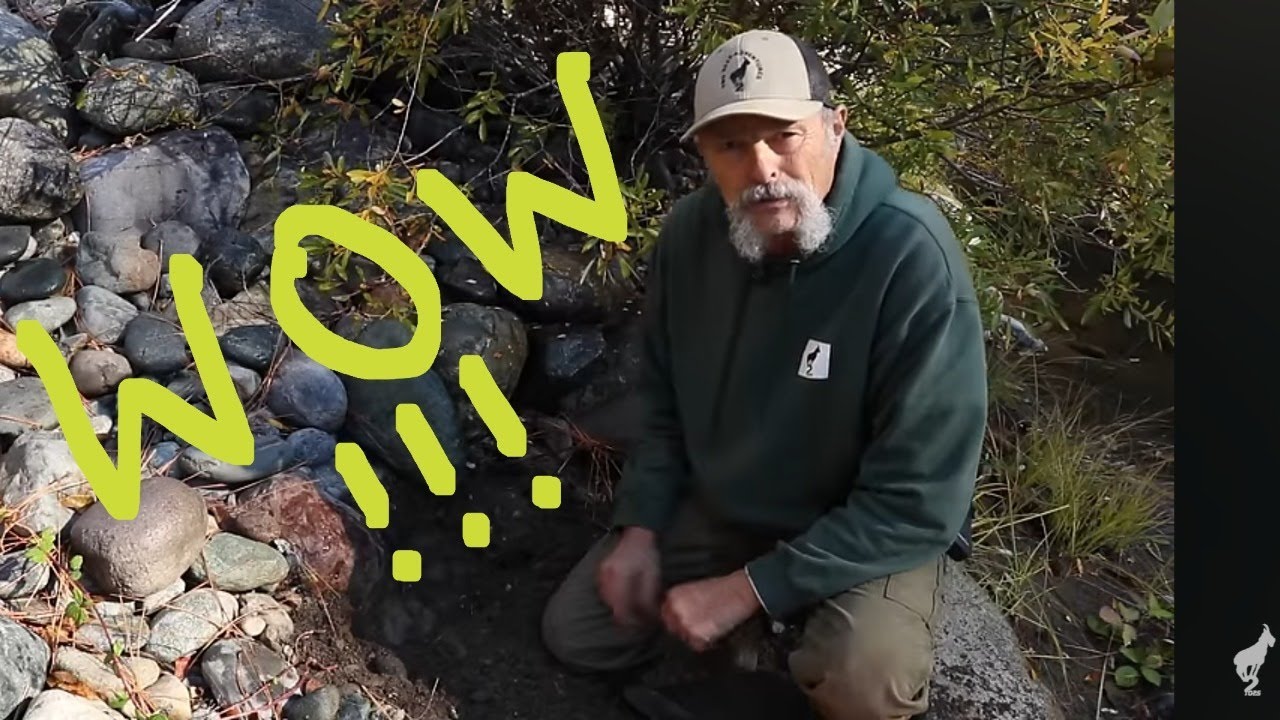 Gold Prospector Reacts LIVE to Two Toes: How to find the best spot to ...