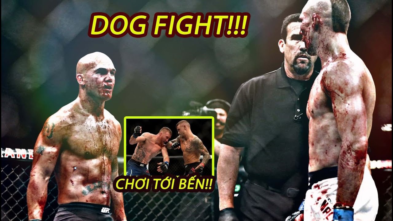 DOG FIGHT LÀ GÌ? 5 TRẬN DOG FIGHT KHỐC LIỆT NHẤT LỊCH SỬ UFC l NHỮNG ...