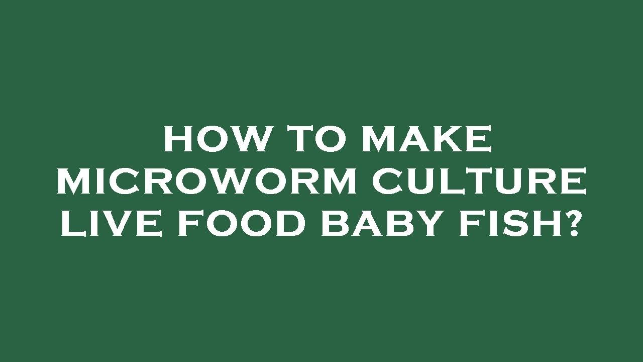 How to make microworm culture live food baby fish? - YouTube