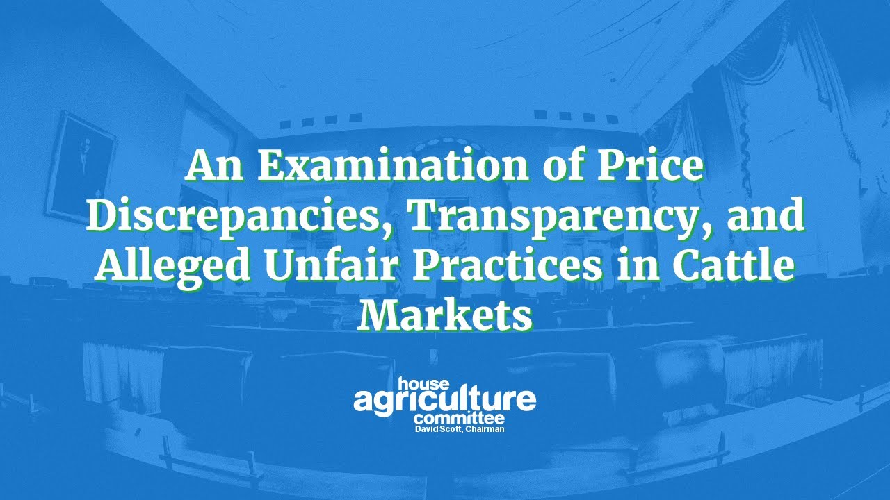 An Examination of Price Discrepancies, Transparency, and Alleged Unfair ...