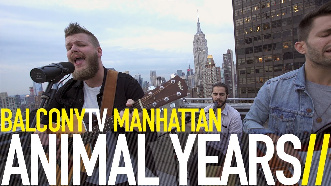 ANIMAL YEARS - FRIENDS (BalconyTV) - YouTube
