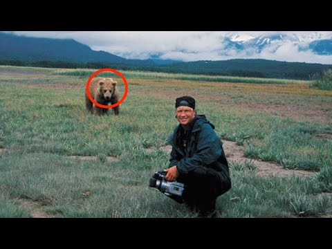 Ayı Adamın Çok Trajik Biten Hikayesi -Timothy Treadwell
