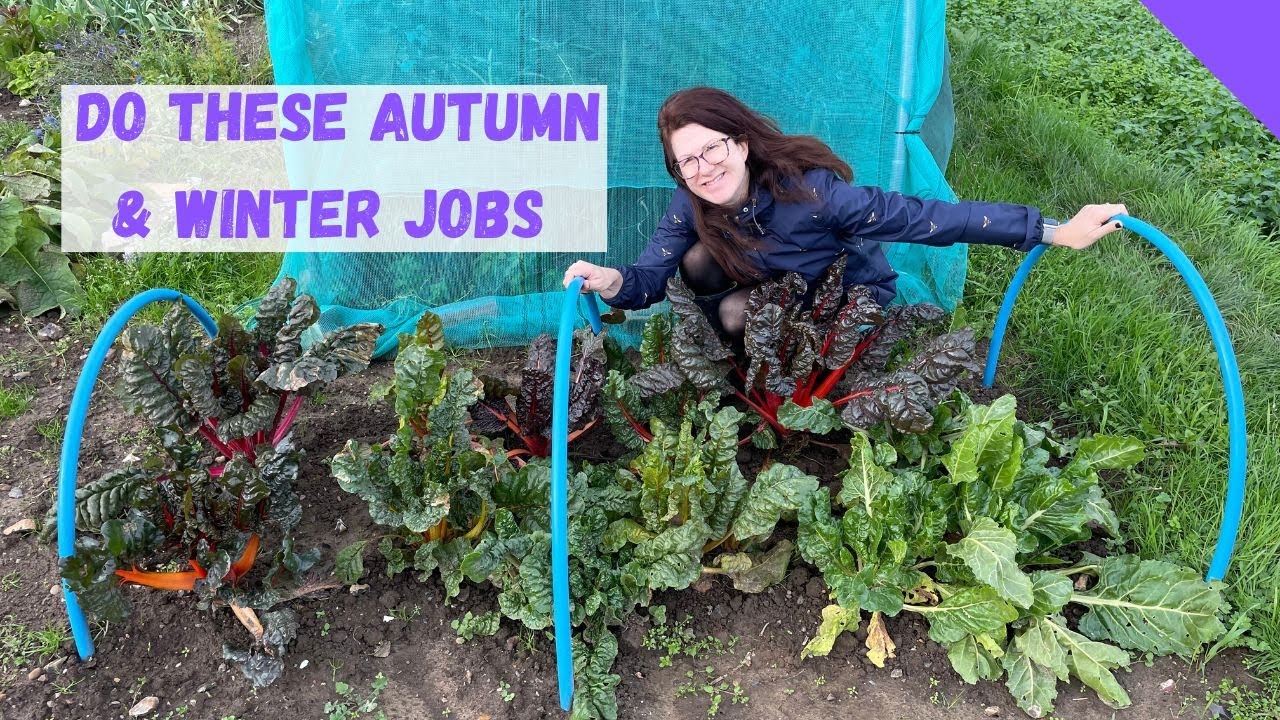 Autumn Allotment Jobs - YouTube