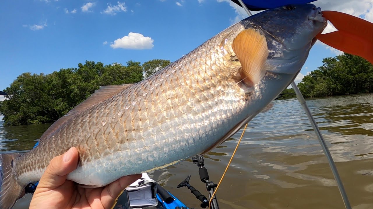 EPIC FLORIDA INSHORE FISHING & NEW PB RED FISH!!! - YouTube