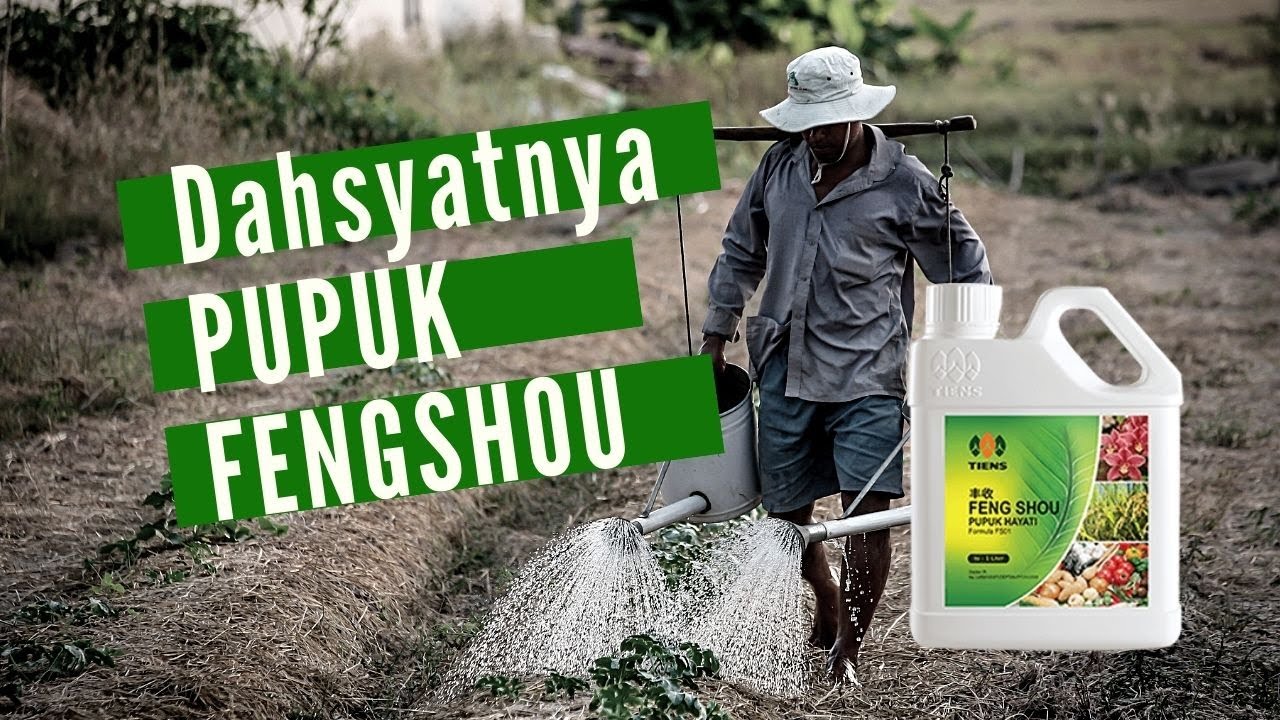 Pupuk Feng Shou Tiens | Pupuk Cair Hayati Organik - YouTube