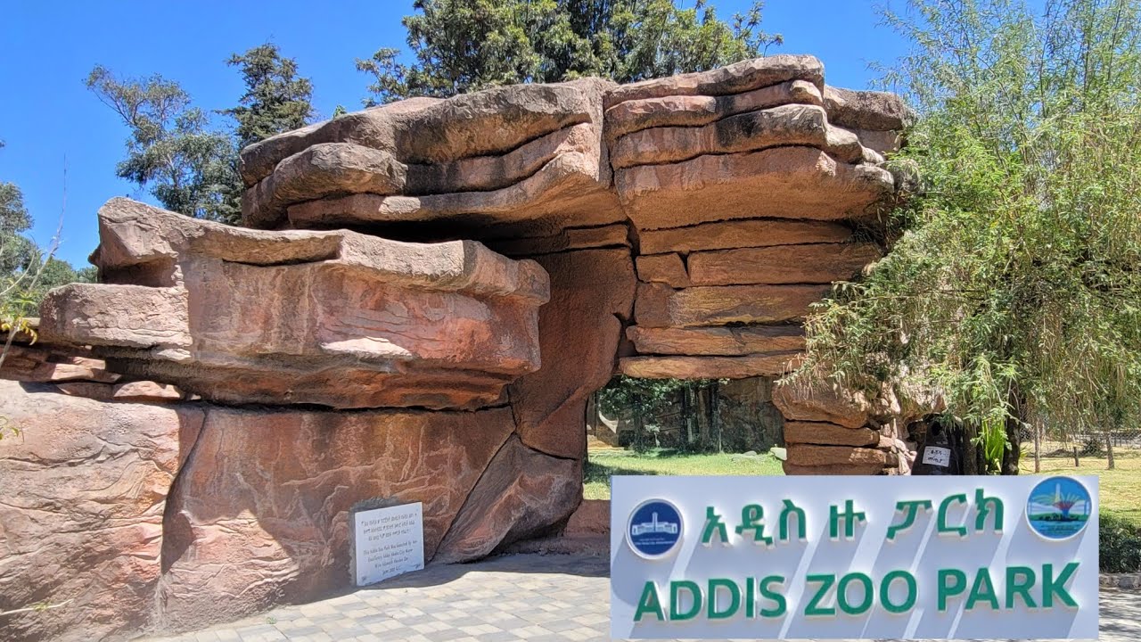 Addis Zoo Park አዲስ ዙ ፓርክ #addisababa - YouTube