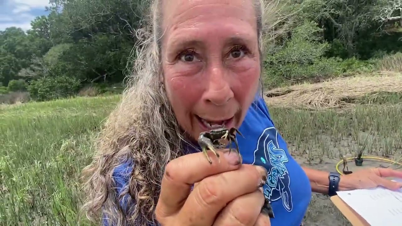 Seeds to Shoreline Cindy Lilly Capstone Project - YouTube