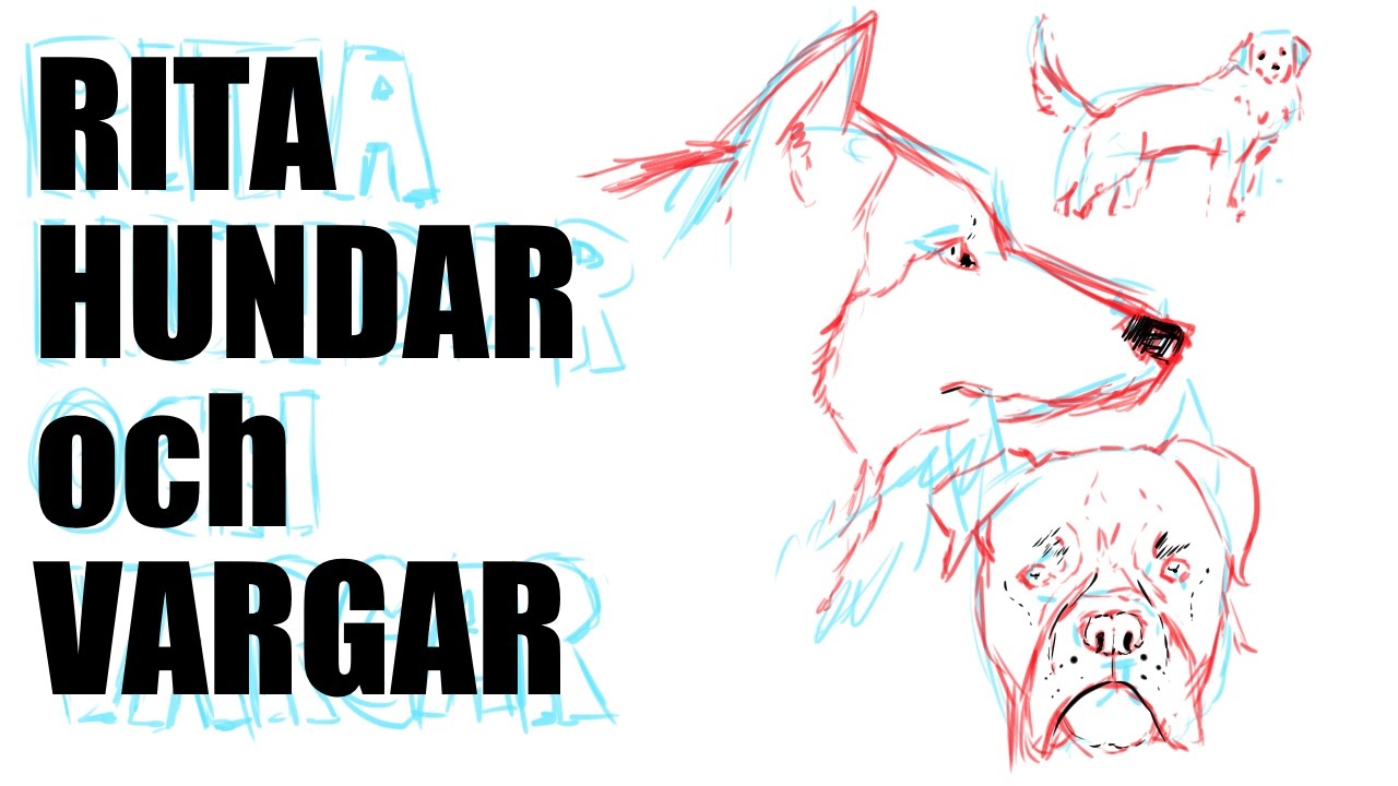 Tips för dig som vill lära dig att rita hundar och vargar! - YouTube