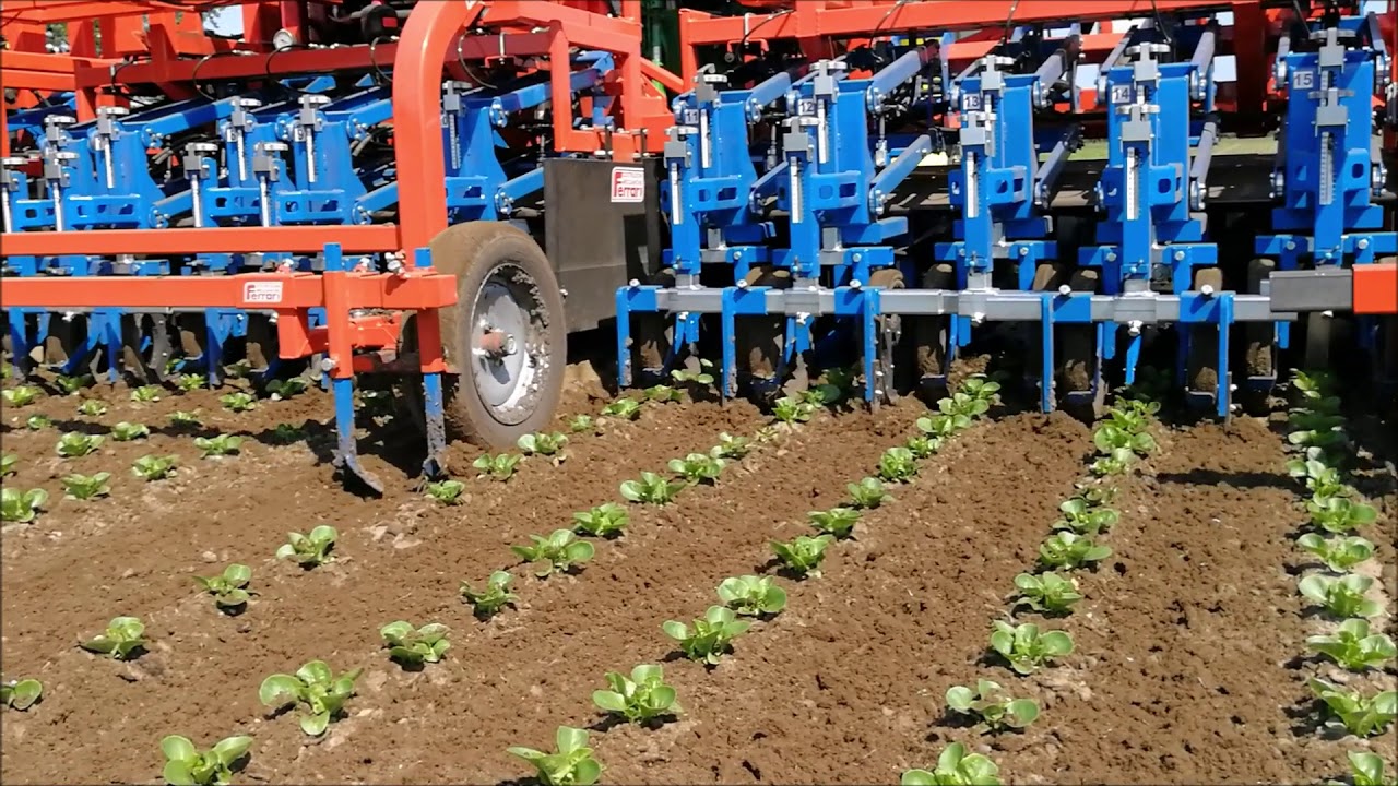 Ferrari REMOWEED15 Inter-row Hoe - YouTube