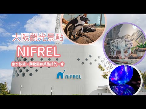 【Dolly遊日本．大阪篇】萬博紀念公園旁、集水族館、動物園和美術館於一身｜NIFREL