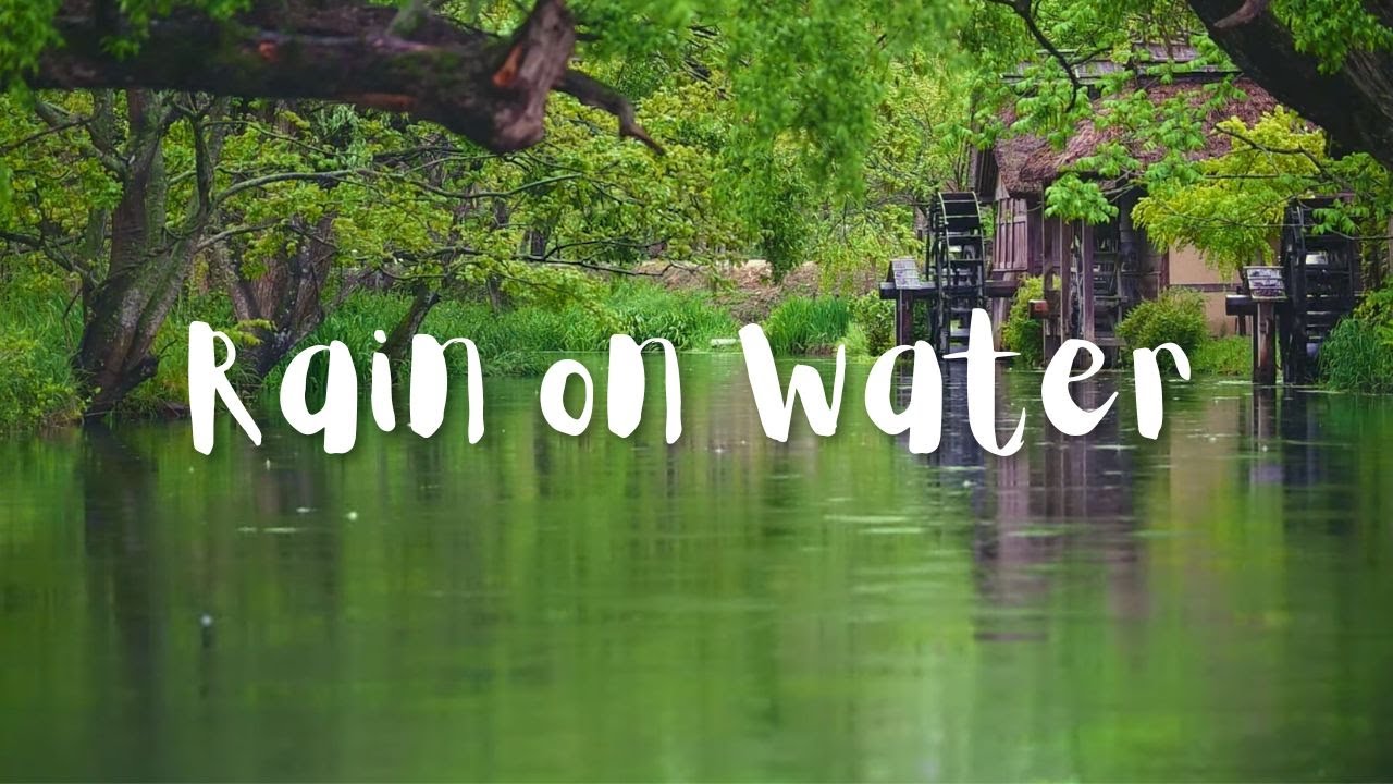 Ambient Rain Sounds for Stress Relief and Sleep - 3 Hours of Constant ...