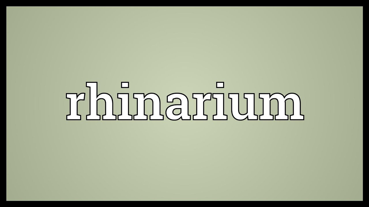 Rhinarium Meaning - YouTube