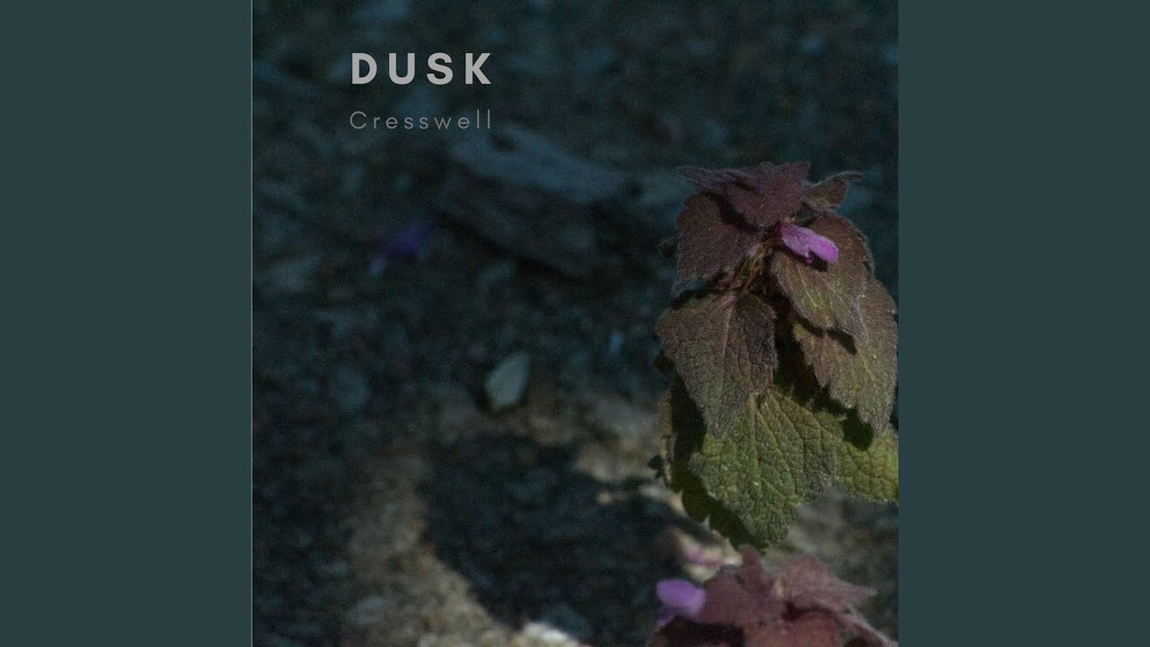 Dusk - YouTube