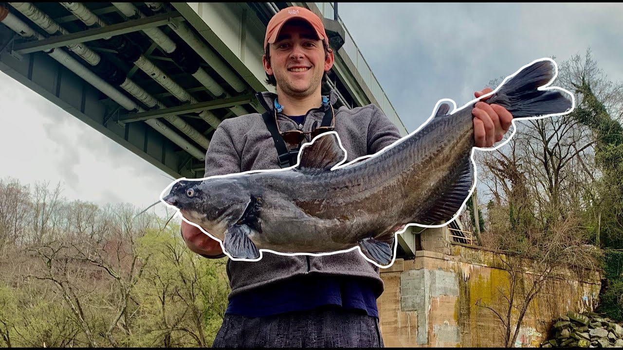 Washington DC Fishing with Artificials: Early Season Potomac River ...