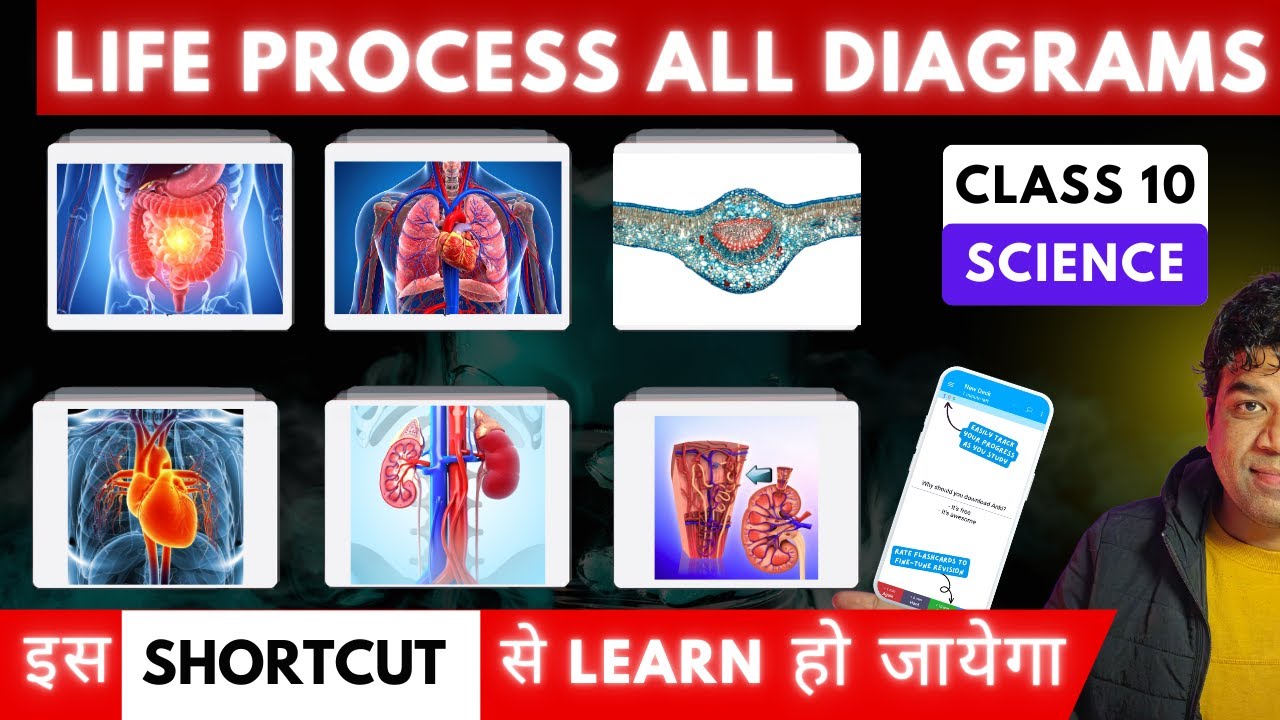 Memorise all Life Processes Diagrams in NO Time !! Class 10 Science ...