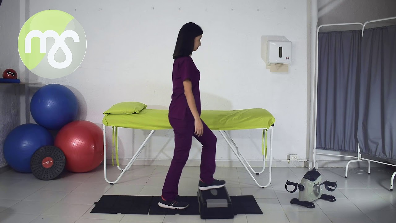 EJERCICIO #48 (SUBIR Y BAJAR GRADA) - YouTube