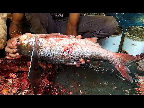 amazing big head fish cutting in fish market 👍 - YouTube