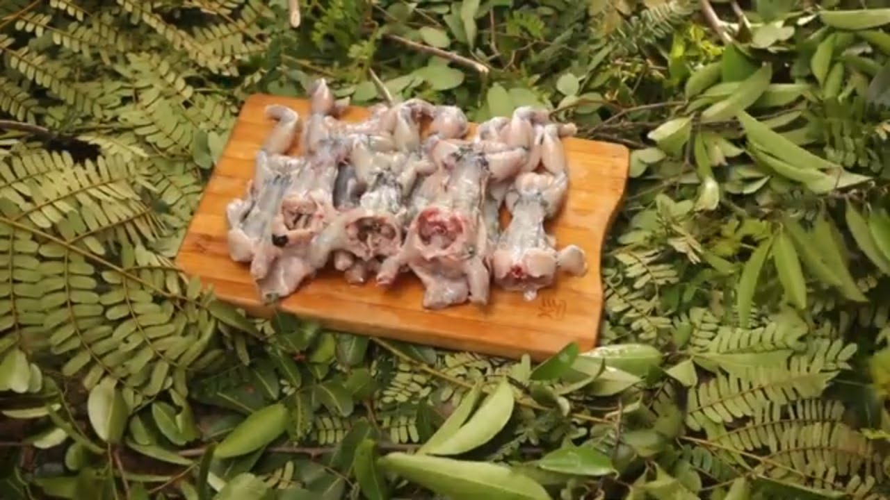 Yummy Spicy Grilled frogs eating delicious | best Cooking | Free Food ...