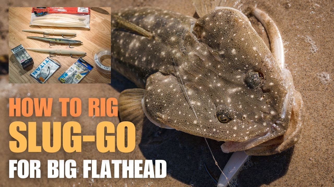 How to rig SLUG-GO soft plastics for BIG FLATHEAD in shallow water ...