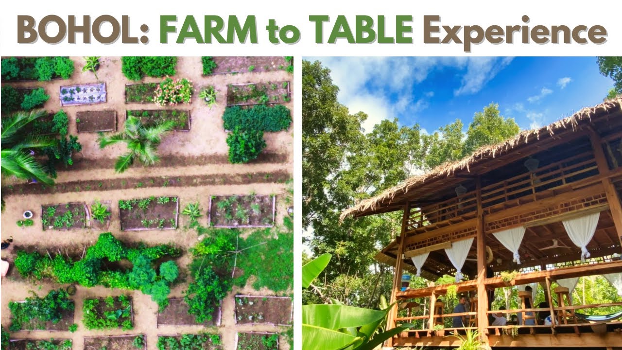 Unique Farm to Table Experience in Bohol (The FRMCY) - YouTube