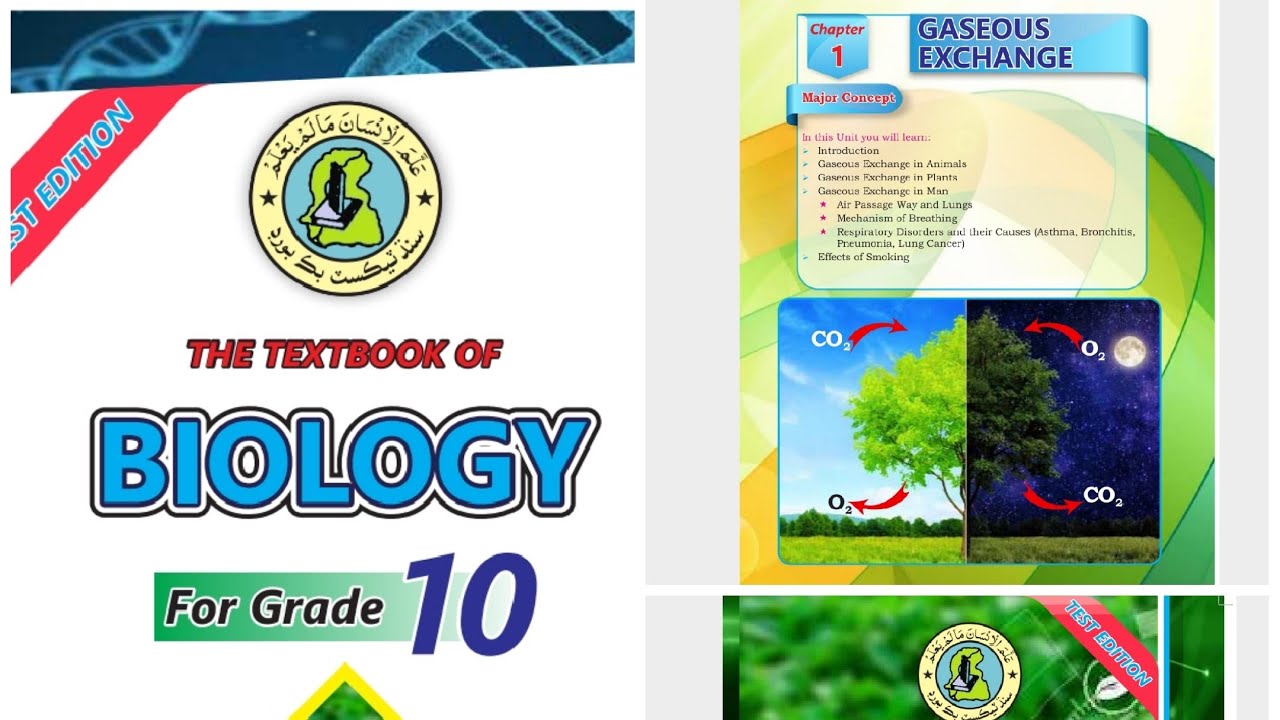 Stomata || Structure and function || 10th Class Biology || STBB ...