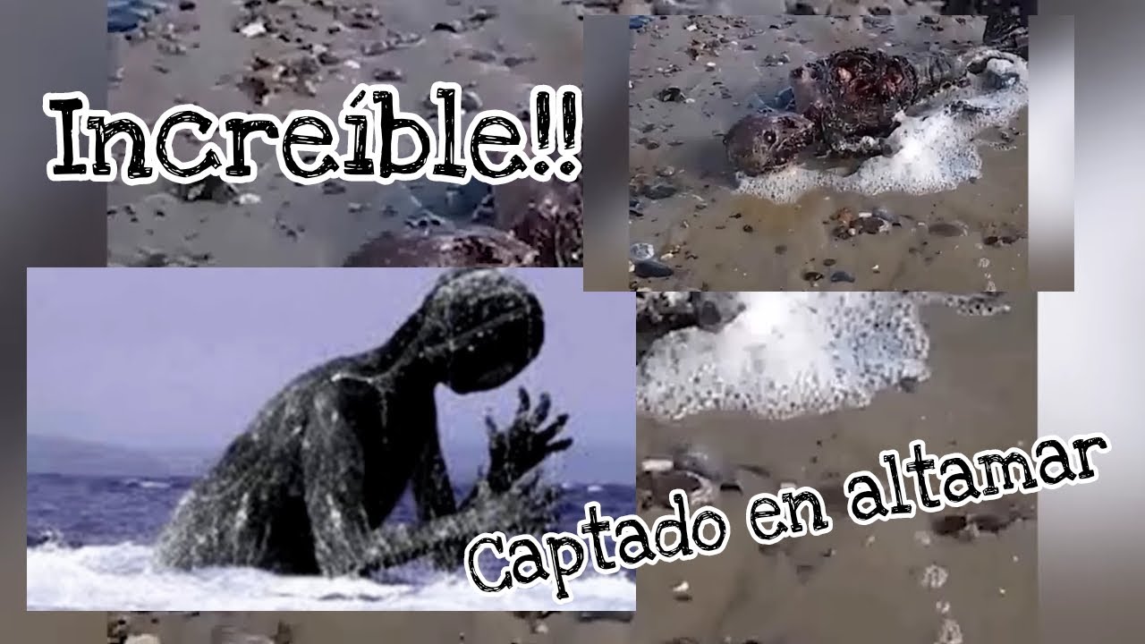 Sorprendente lo que capta pescador en altamar | Conmosiona al mundo 🌎 ...